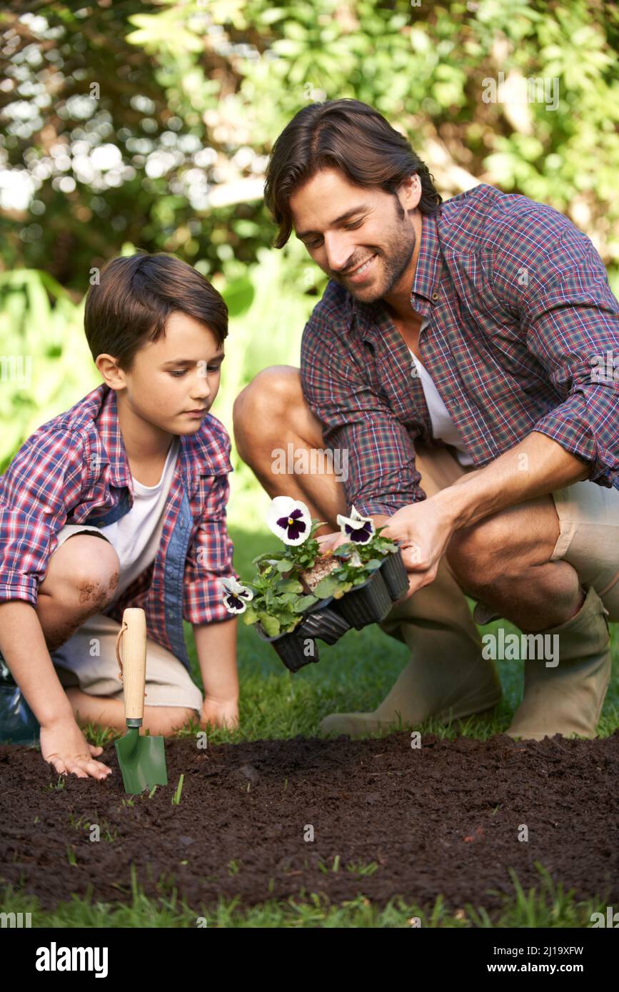 They love gardening together. Shot of a father and son planting flowers ...