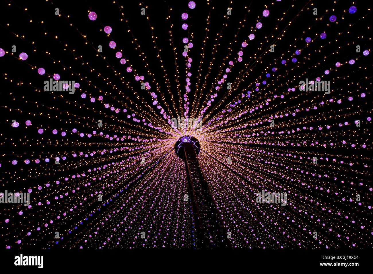 The Telecom Christmas Tree, Victoria Park, Auckland, New Zealand Stock ...