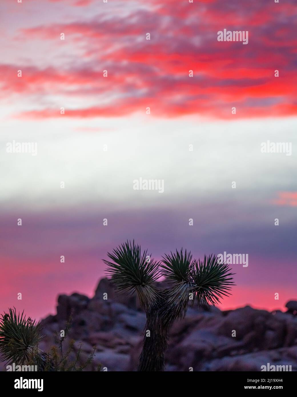 Incredible pink, orange sunset seen over desert landscape in Mojave ...