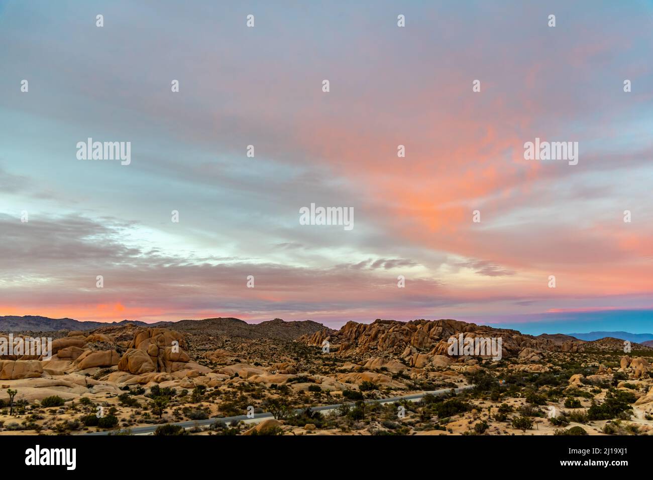 Pastel pink and orange sunset in Joshua Tree National with full desert ...