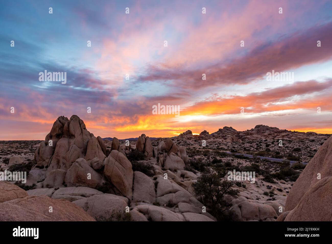 Pastel pink and orange sunset in Joshua Tree National with full desert ...