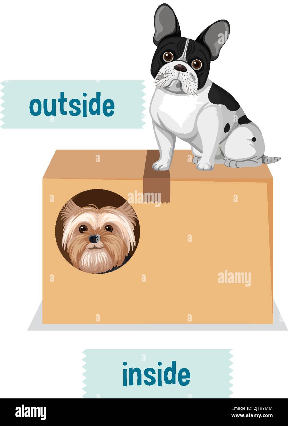 Preposition wordcard with dogs and box illustration Stock Vector Image ...