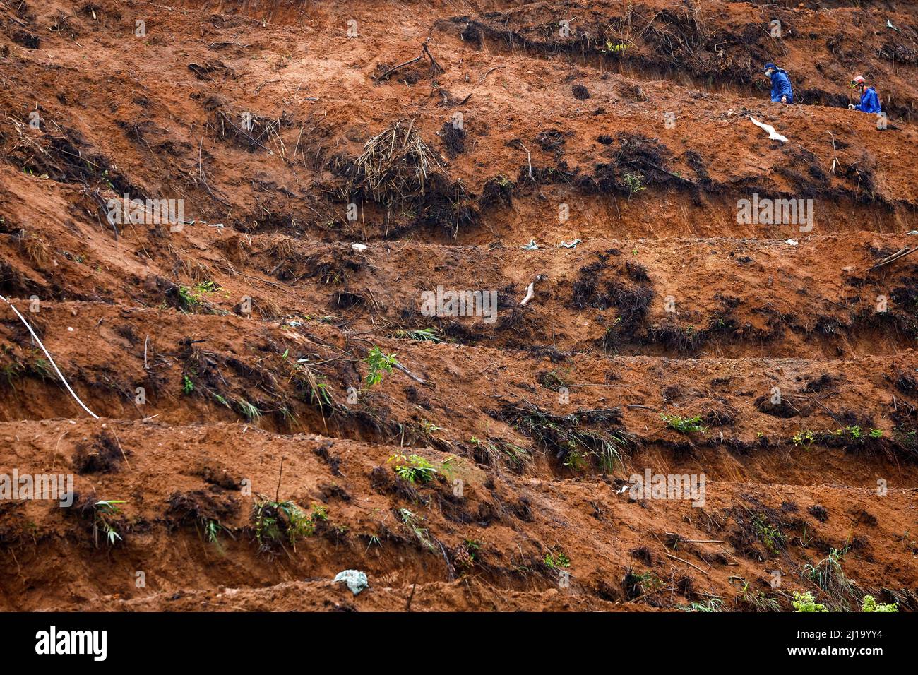 Boeing 737 800 crash china hi-res stock photography and images - Alamy