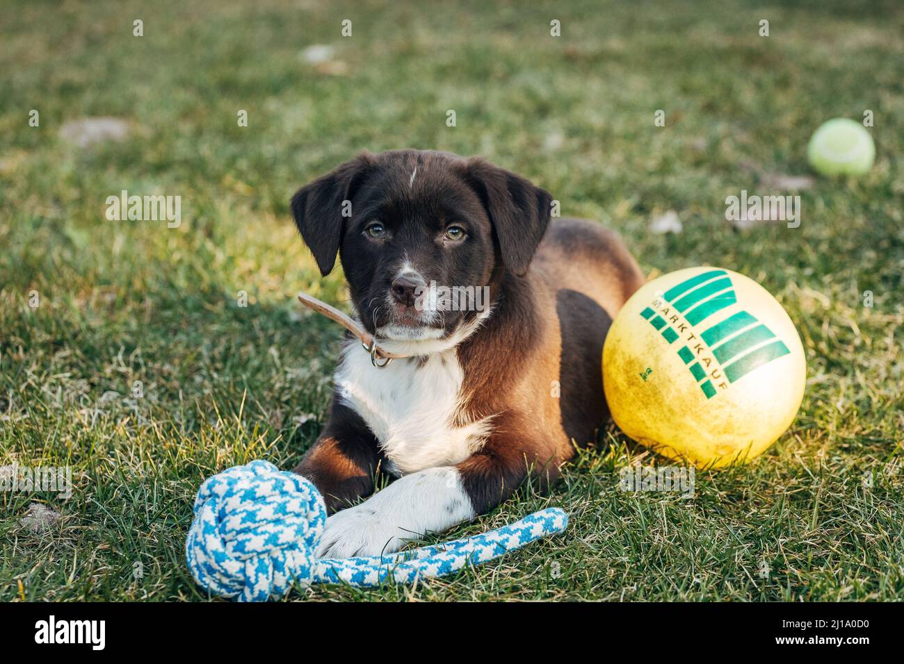 Marktkauf ball hi-res stock photography and images - Alamy