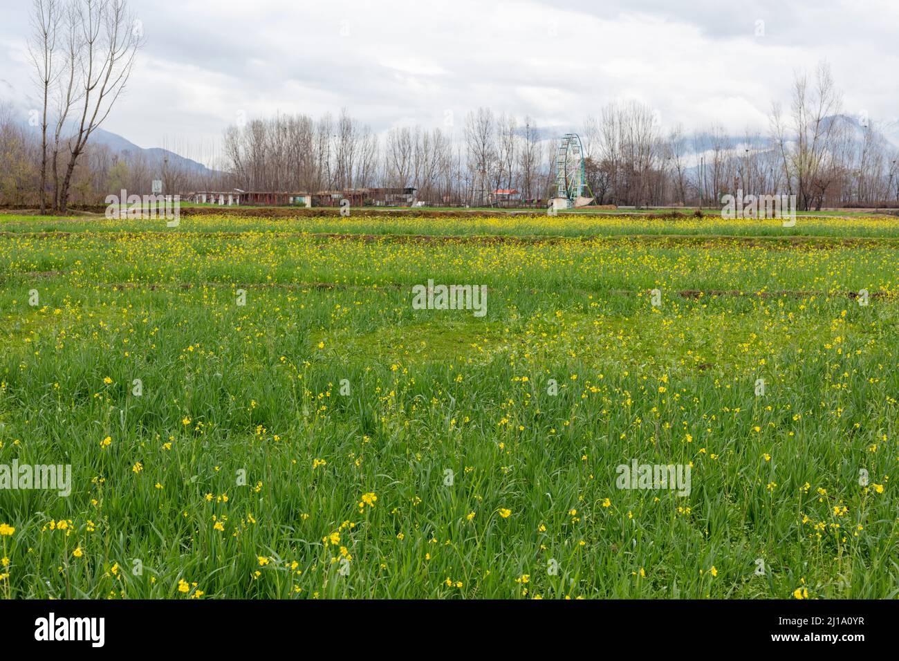 Village in pakistan High Resolution Stock Photography and Images - Alamy