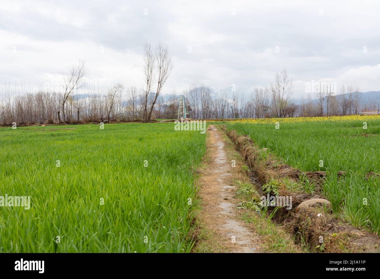 Pedestrian pathway in a beautiful fields in the spring season in a ...