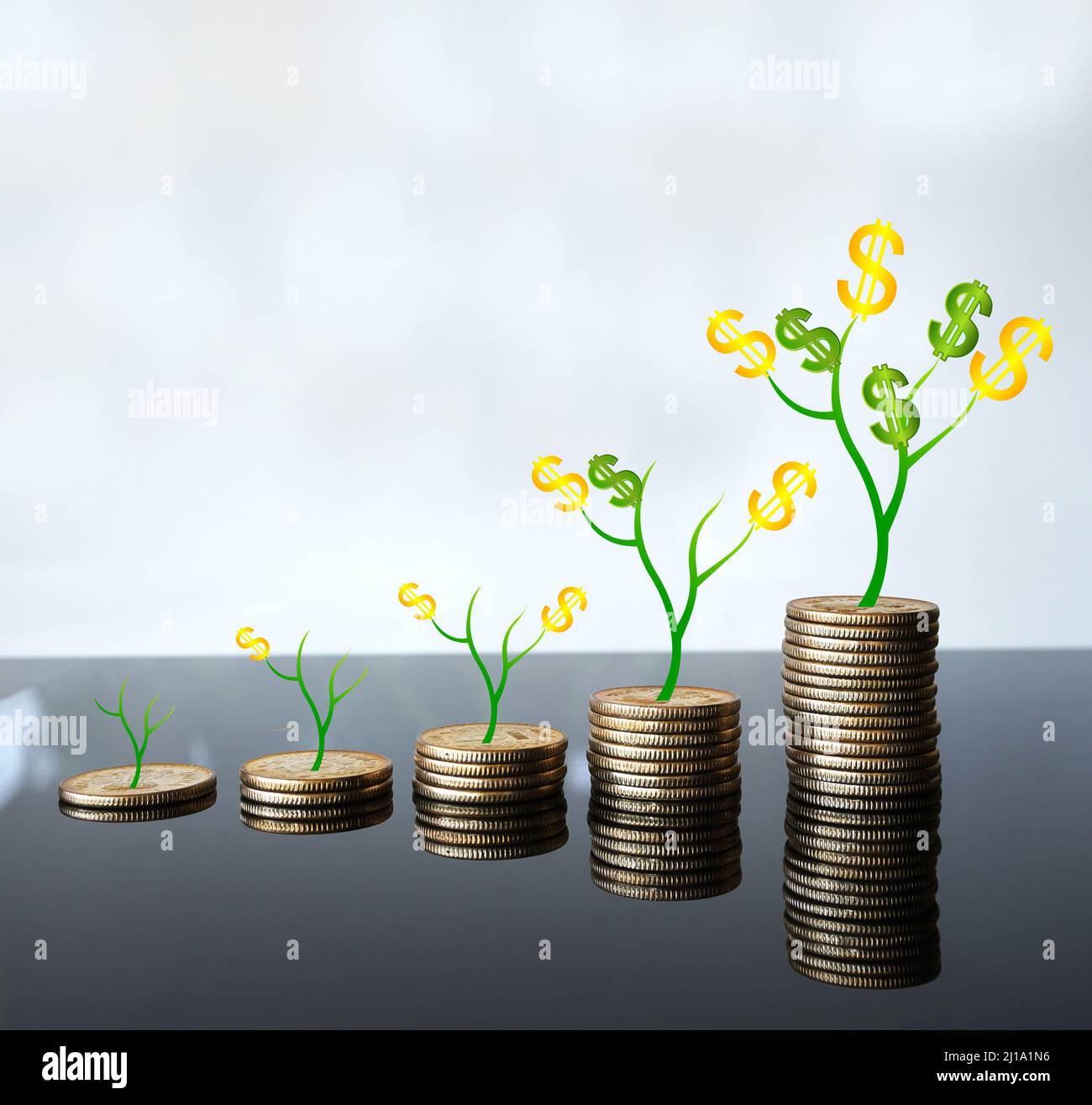 Money growth Saving money. Dollar tree to shown concept growing ...