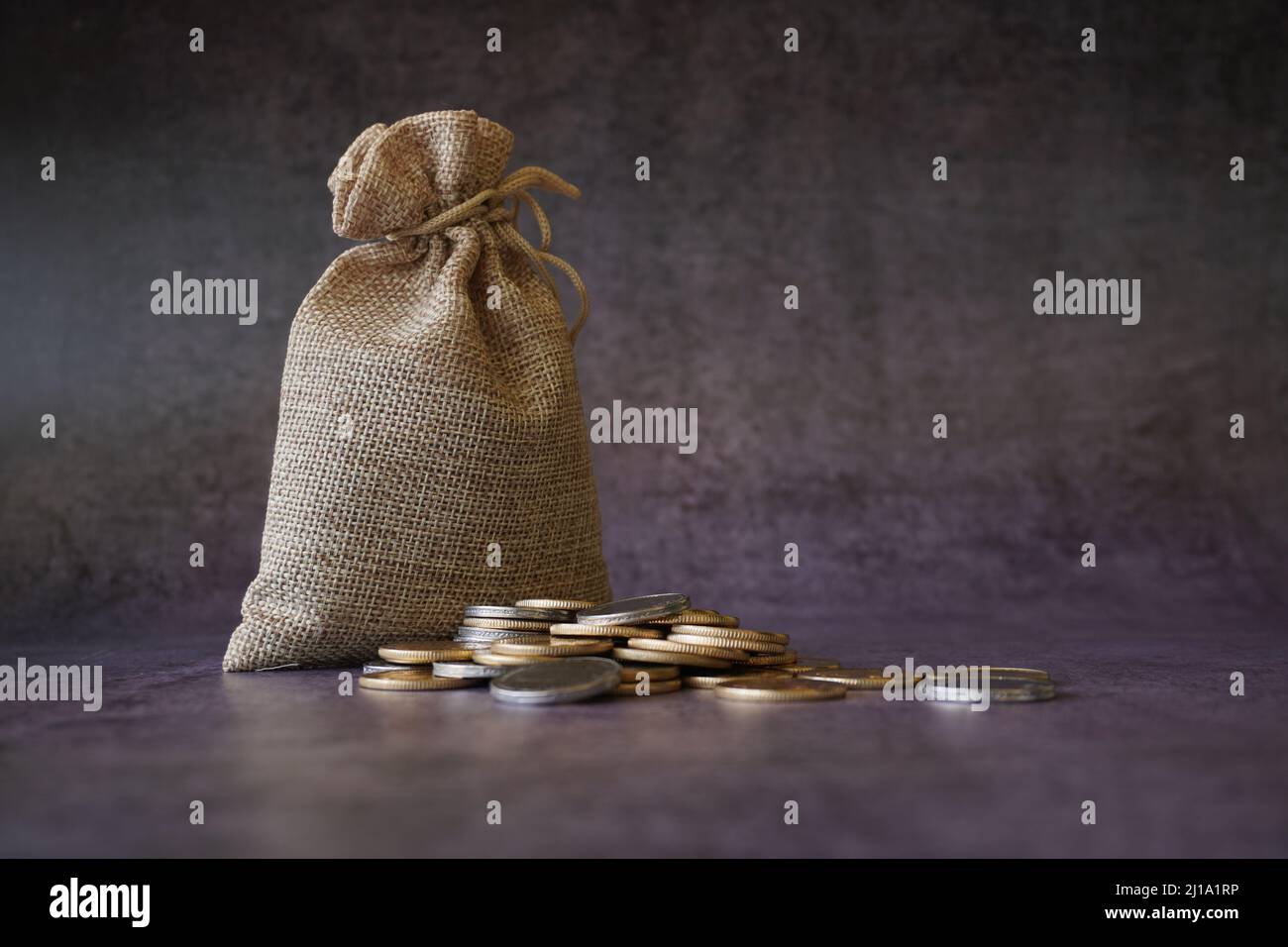 Money Bag and Coins. Stock Photo Stock Photo - Alamy