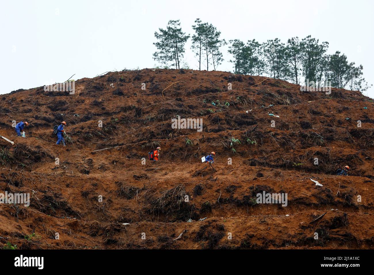 Boeing 737 800 crash china hi-res stock photography and images - Alamy