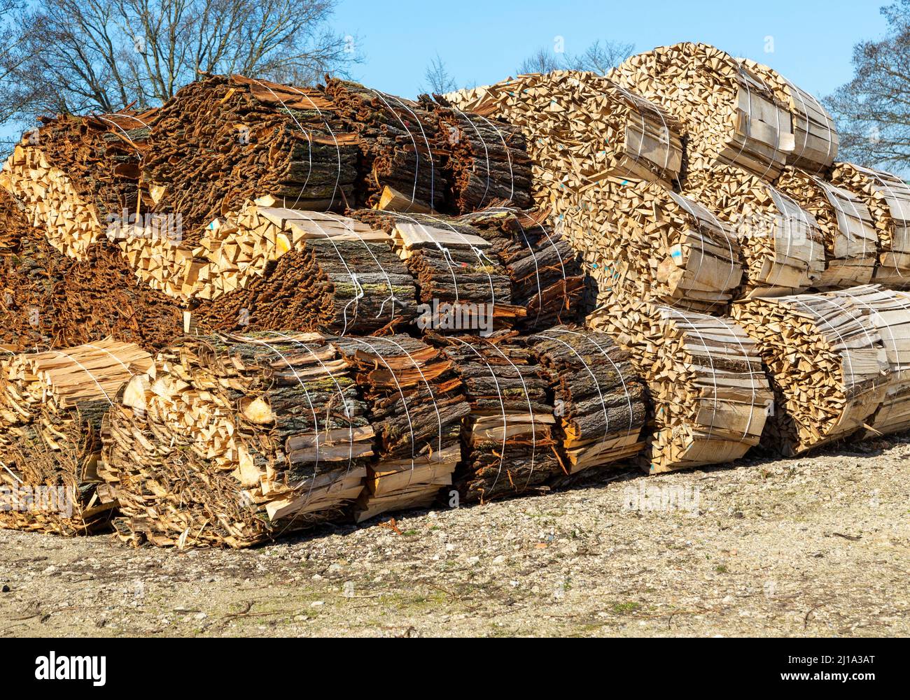Bundles of wood offcuts and bark at a willow sawmill, Suffolk, England ...