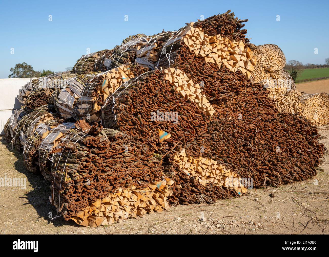Bundles of wood offcuts and bark at a willow sawmill, Suffolk, England ...
