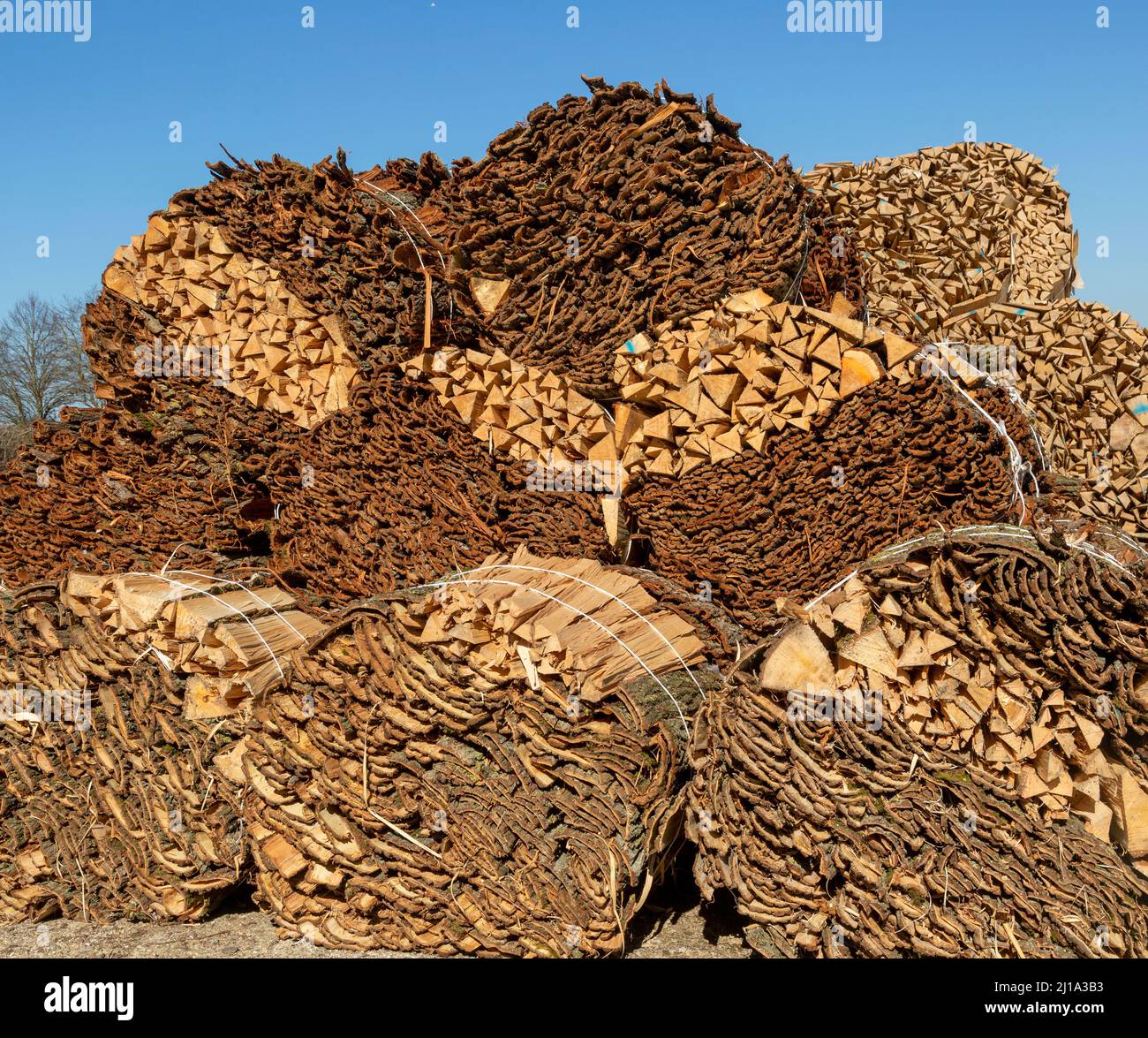 Bundles of wood offcuts and bark at a willow sawmill, Suffolk, England ...