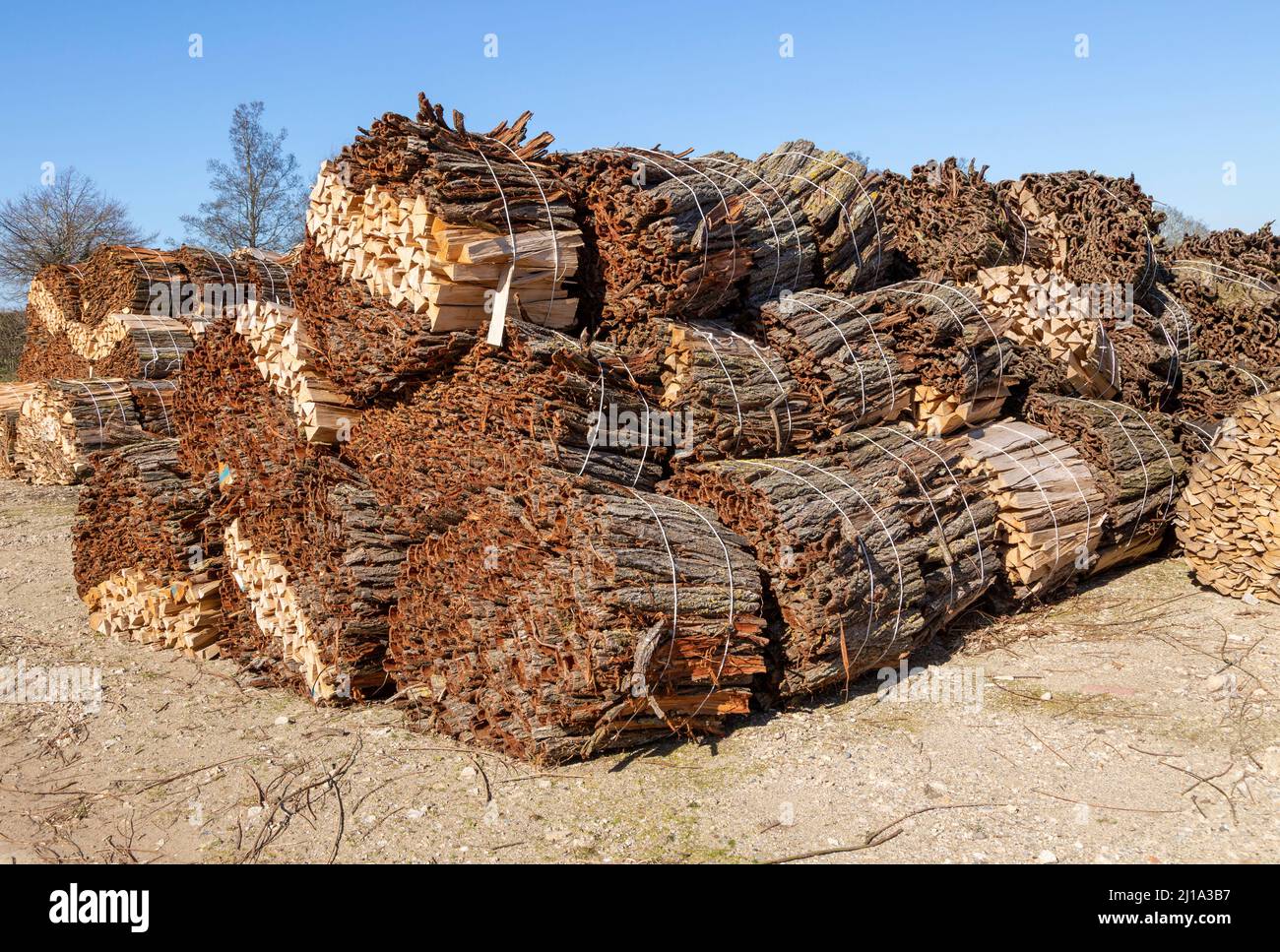 Bundles of wood offcuts and bark at a willow sawmill, Suffolk, England ...