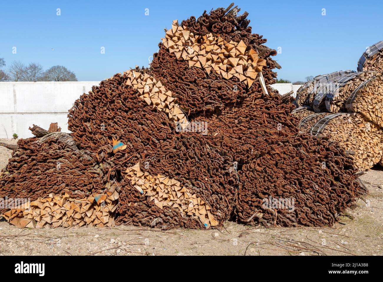 Bundles of wood offcuts and bark at a willow sawmill, Suffolk, England ...