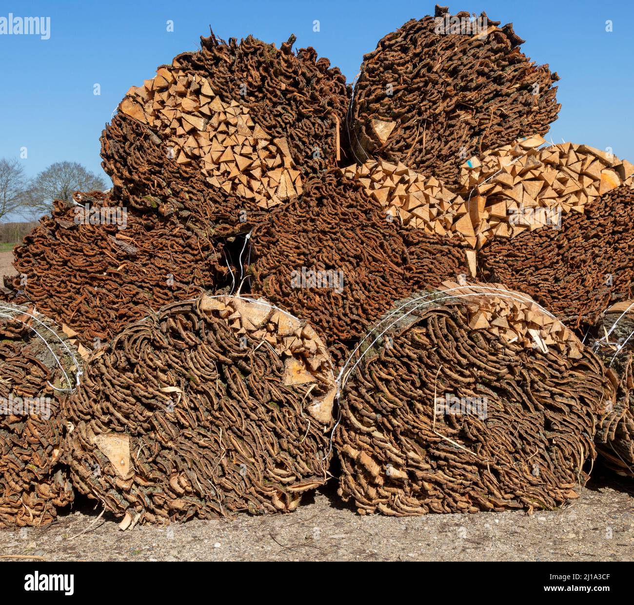 Bundles of wood offcuts and bark at a willow sawmill, Suffolk, England ...