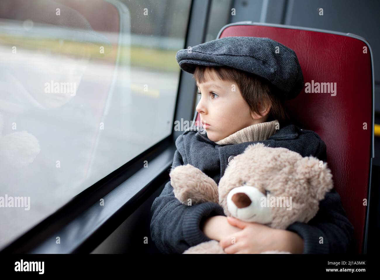 Sweet little child, preschool boy, riding in a bus, daytime, holding ...