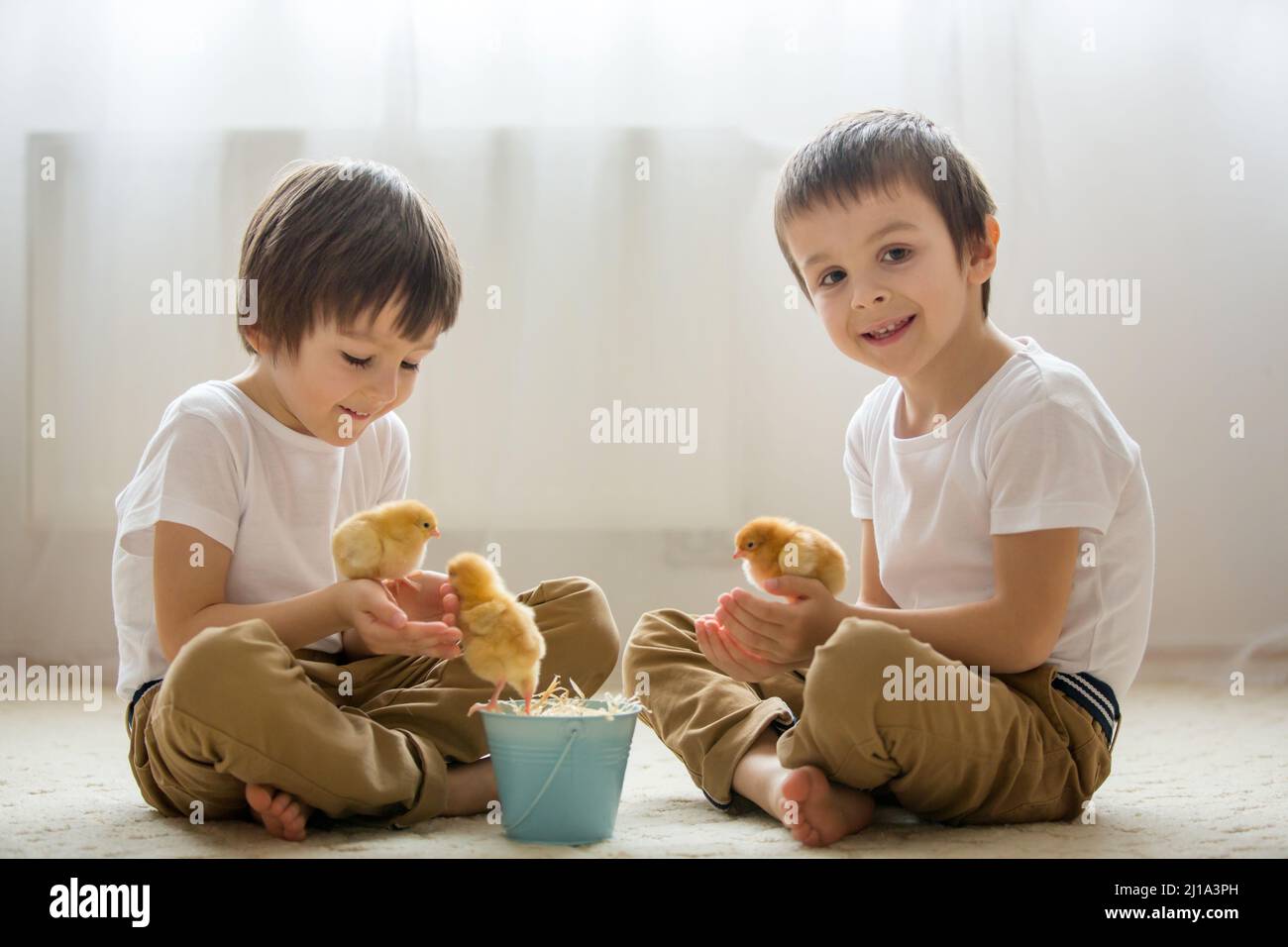 Two sweet little children, preschool boys, brothers, playing with ...