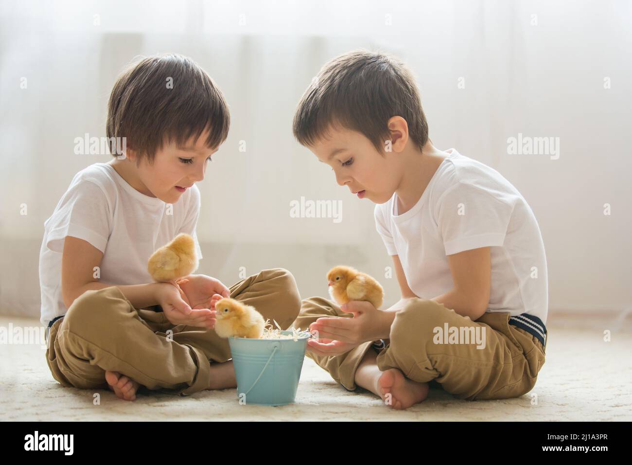 Two sweet little children, preschool boys, brothers, playing with ...