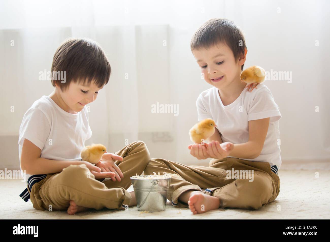 Two sweet little children, preschool boys, brothers, playing with ...