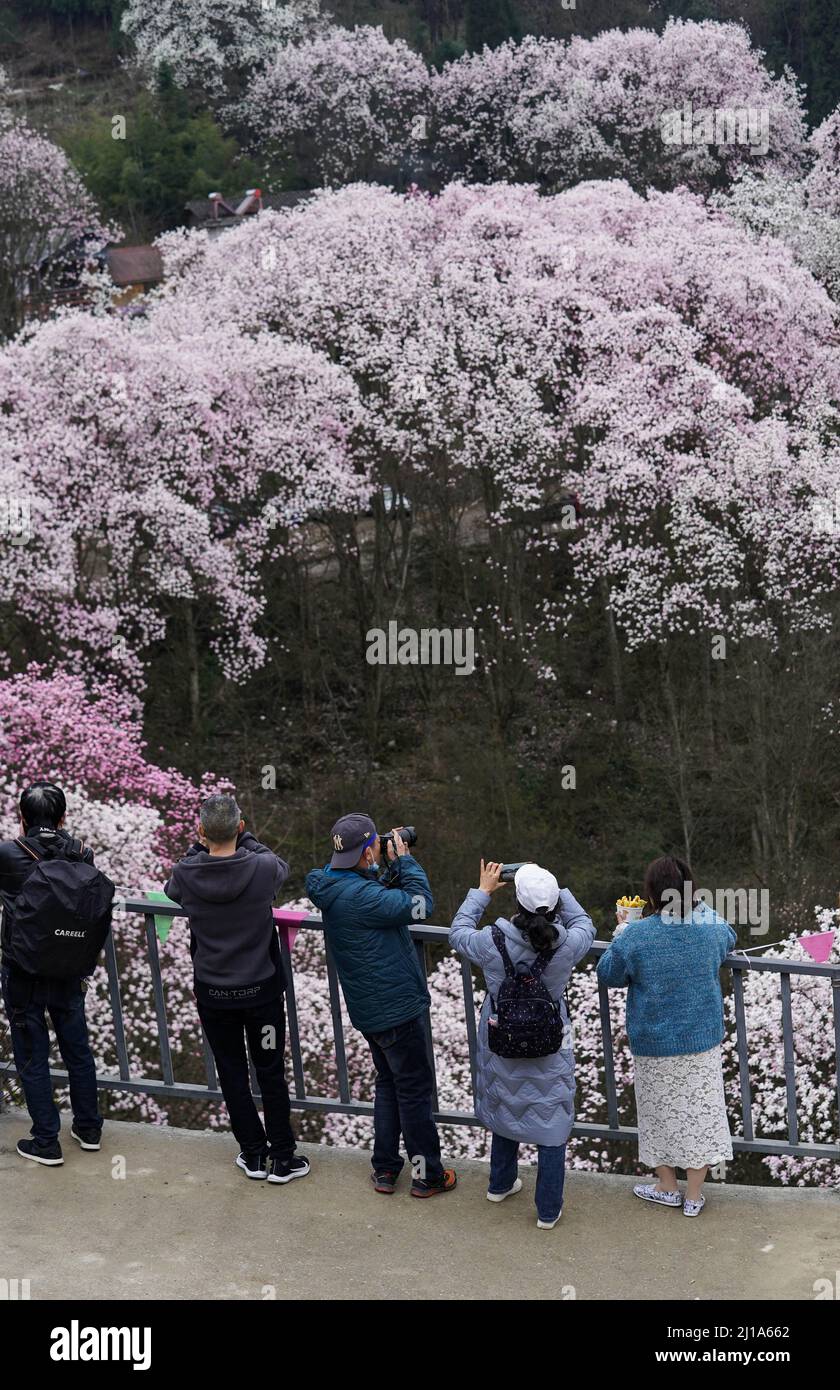 Jiangyou, China's Sichuan Province. 22nd Mar, 2022. People take photos ...