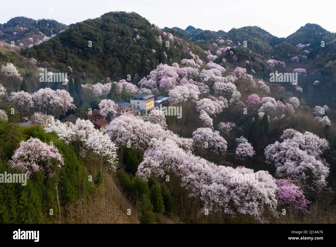 Jiangyou. 23rd Mar, 2022. Aerial photo taken on March 23, 2022 shows ...