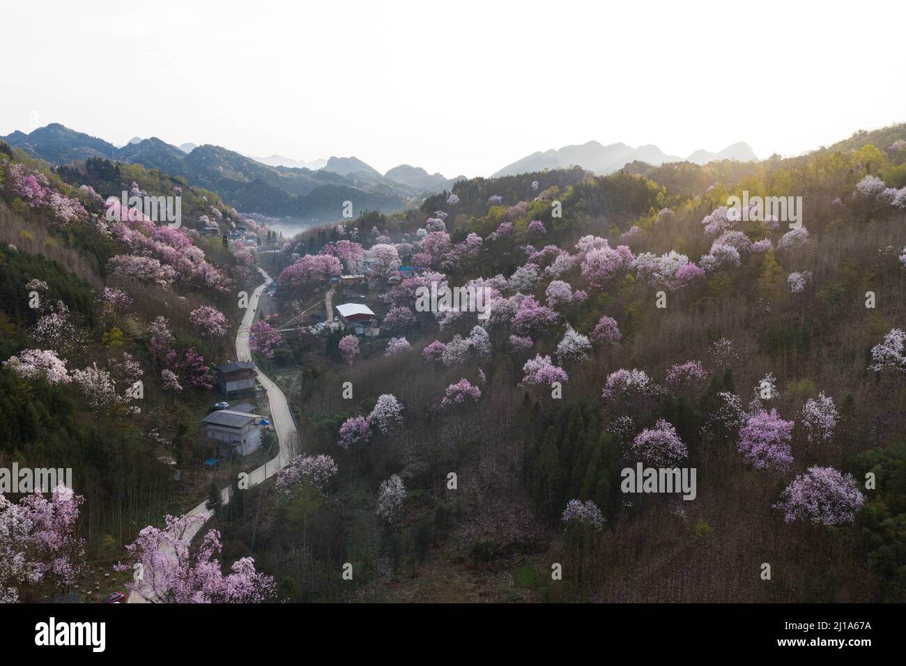 Jiangyou. 23rd Mar, 2022. Aerial photo taken on March 23, 2022 shows ...