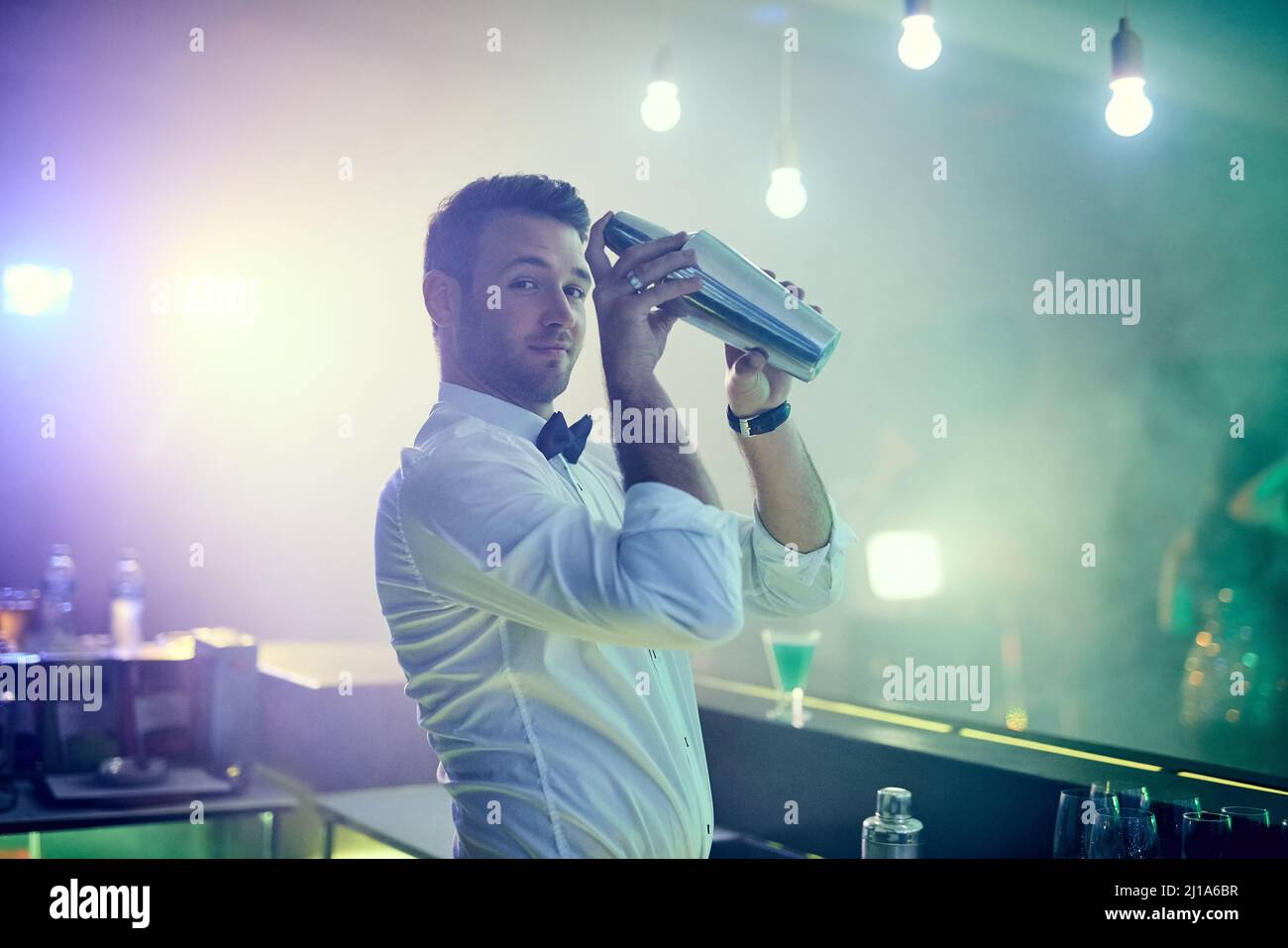 Shaken or stirred. Portrait of a handsome young barman mixing a ...