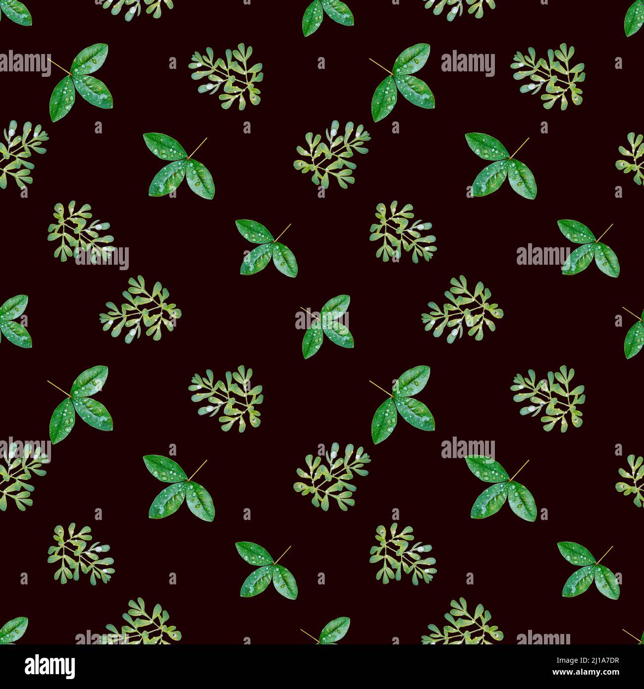 seamless spring background with fresh foliage and water drops Stock ...