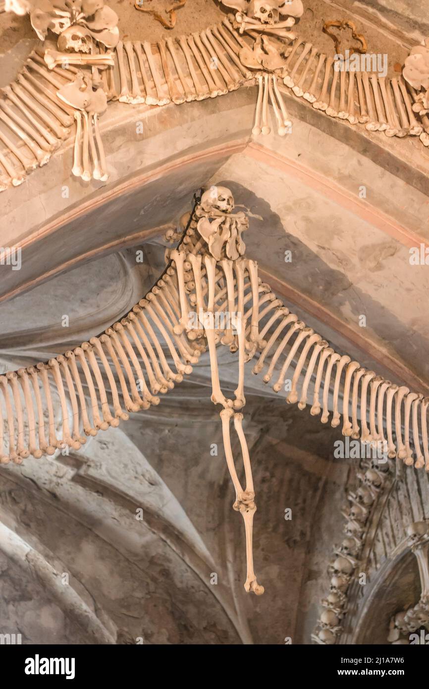 Medieval europe human anatomy hi-res stock photography and images - Alamy