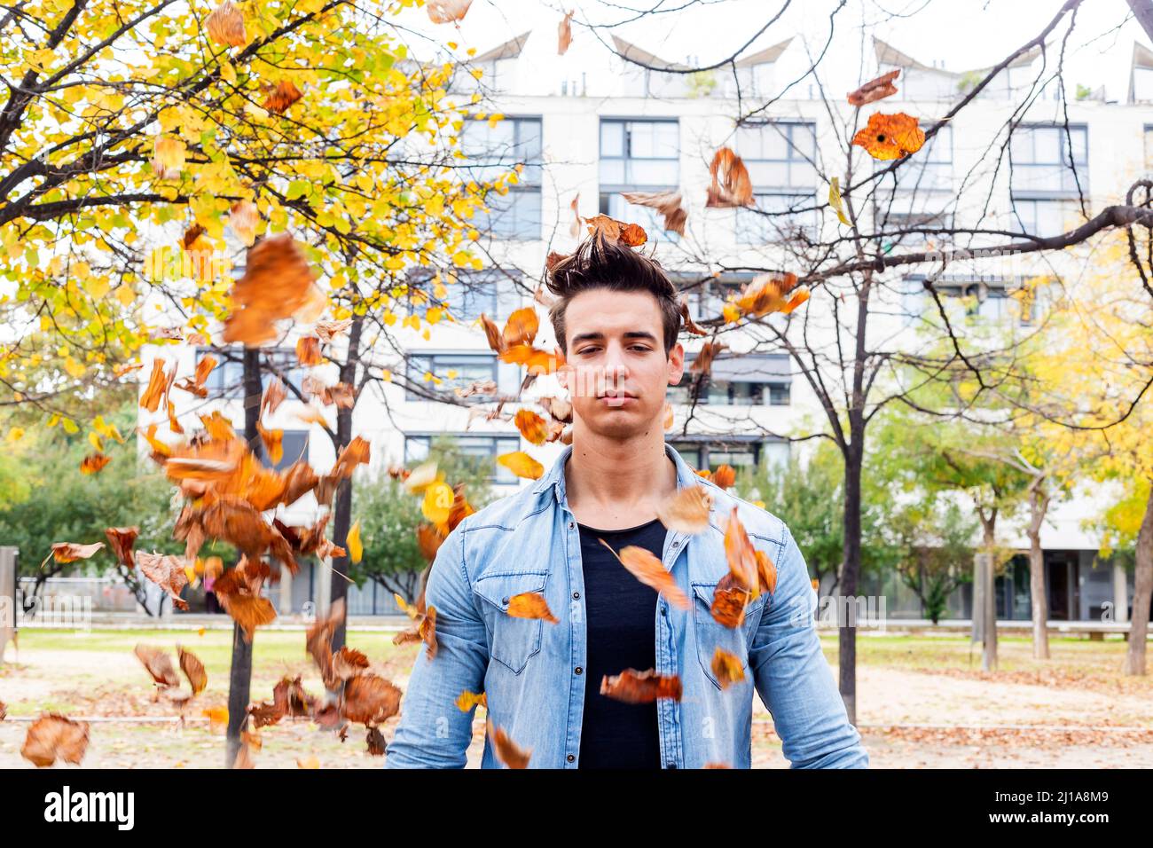 Autumn falling leaves over a young man standing in a public park Stock ...