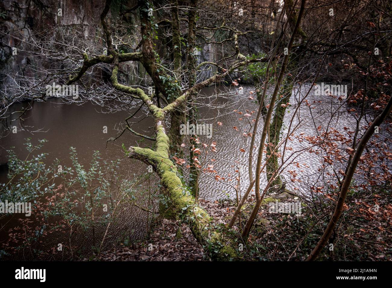 A water filled quarry in the historic in the Kennall Vale nature ...