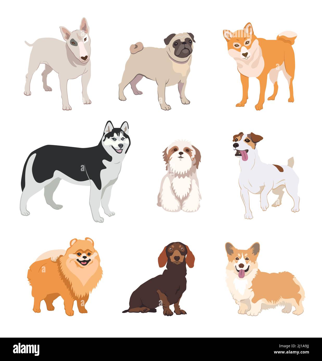 Cartoon dog breeds flat icon collection. Happy pet vector illustration ...