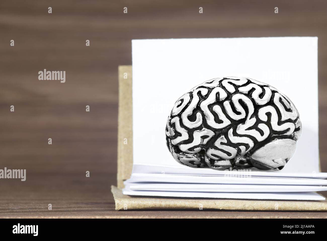 Miniature human brain model lying on an open book against a wooden ...