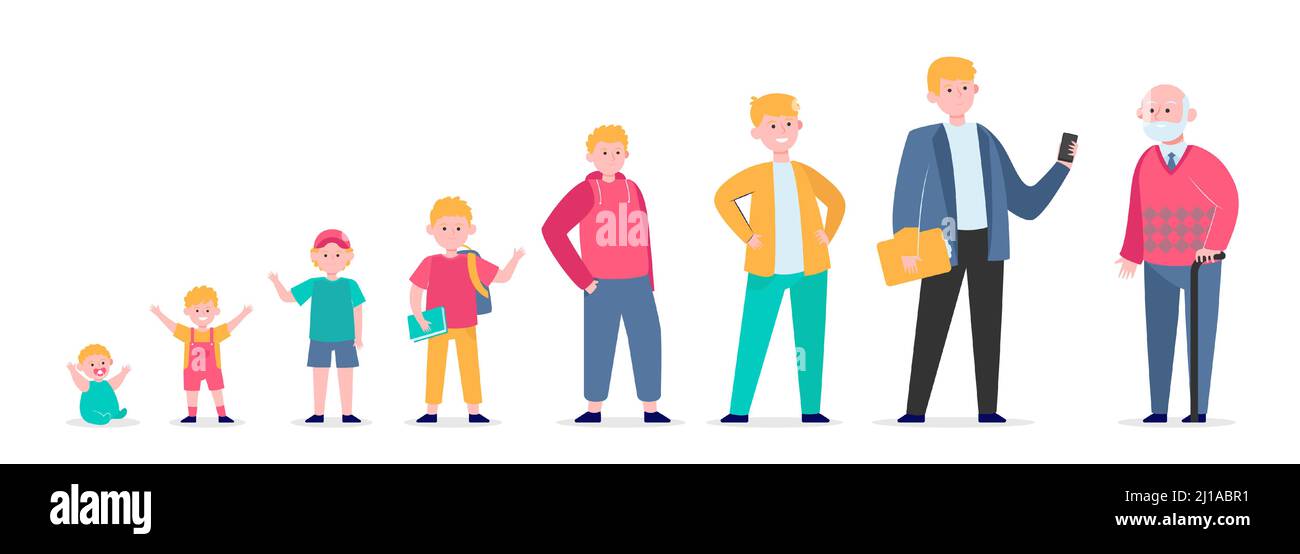 Man from infant to pensioner evolution. Adult, life, cycle flat vector ...