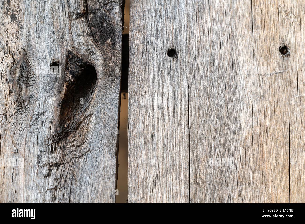 Wood rot on wall hi-res stock photography and images - Alamy