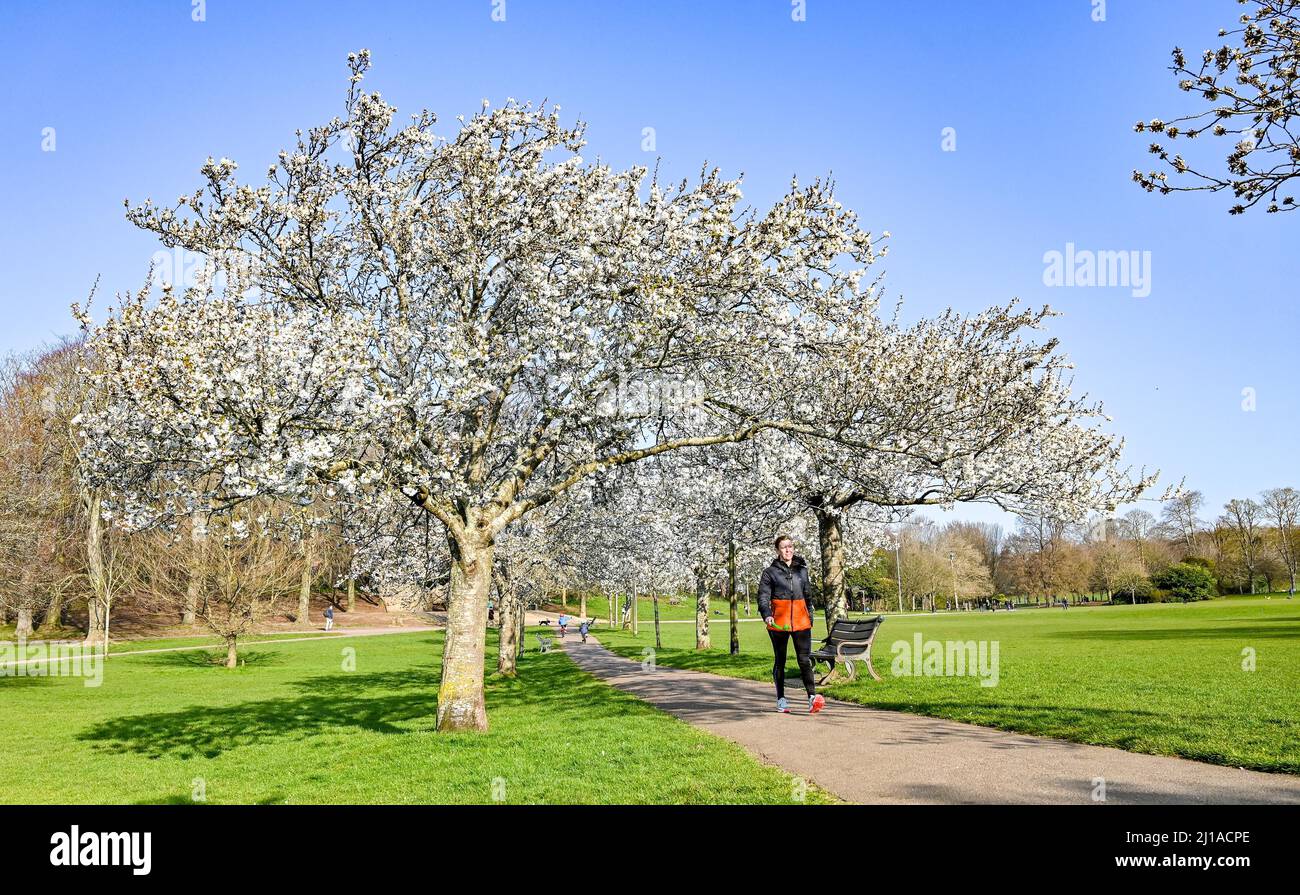 Spring 2022 hi-res stock photography and images - Alamy