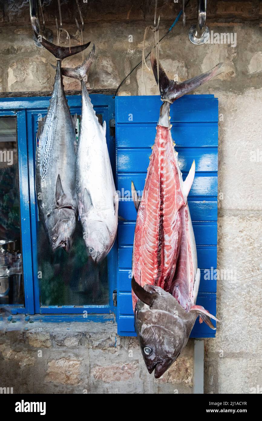 Freshly caught tuna hangs on hooks by the window Stock Photo - Alamy