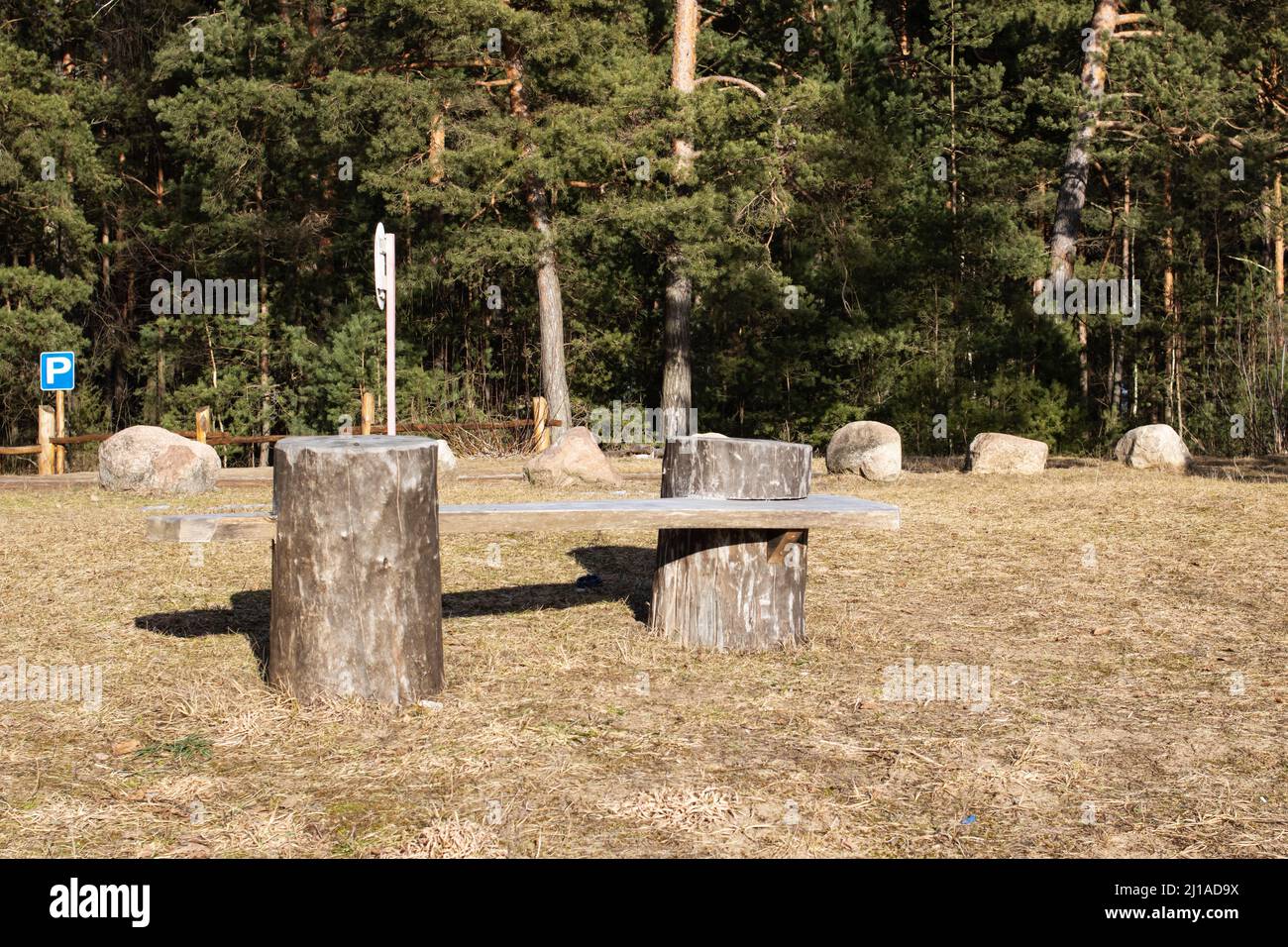 Wooden bench in the woods by the lake Stock Photo - Alamy