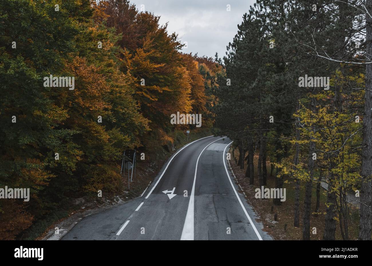 An empty road surrounded by autumn trees Stock Photo - Alamy