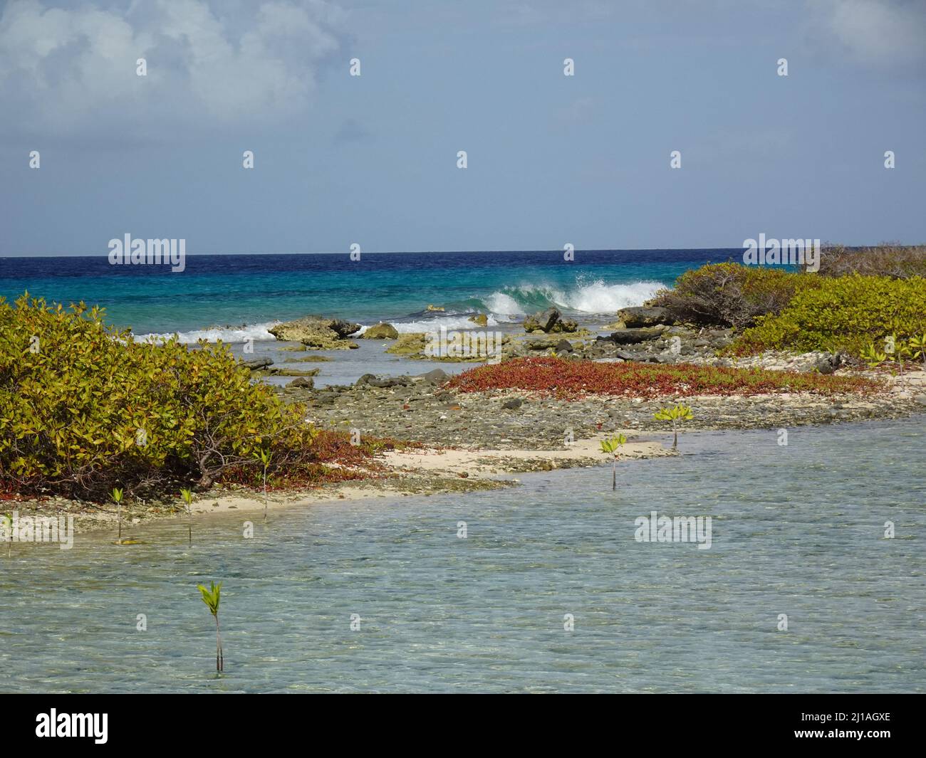 caribbean coast line Stock Photo - Alamy