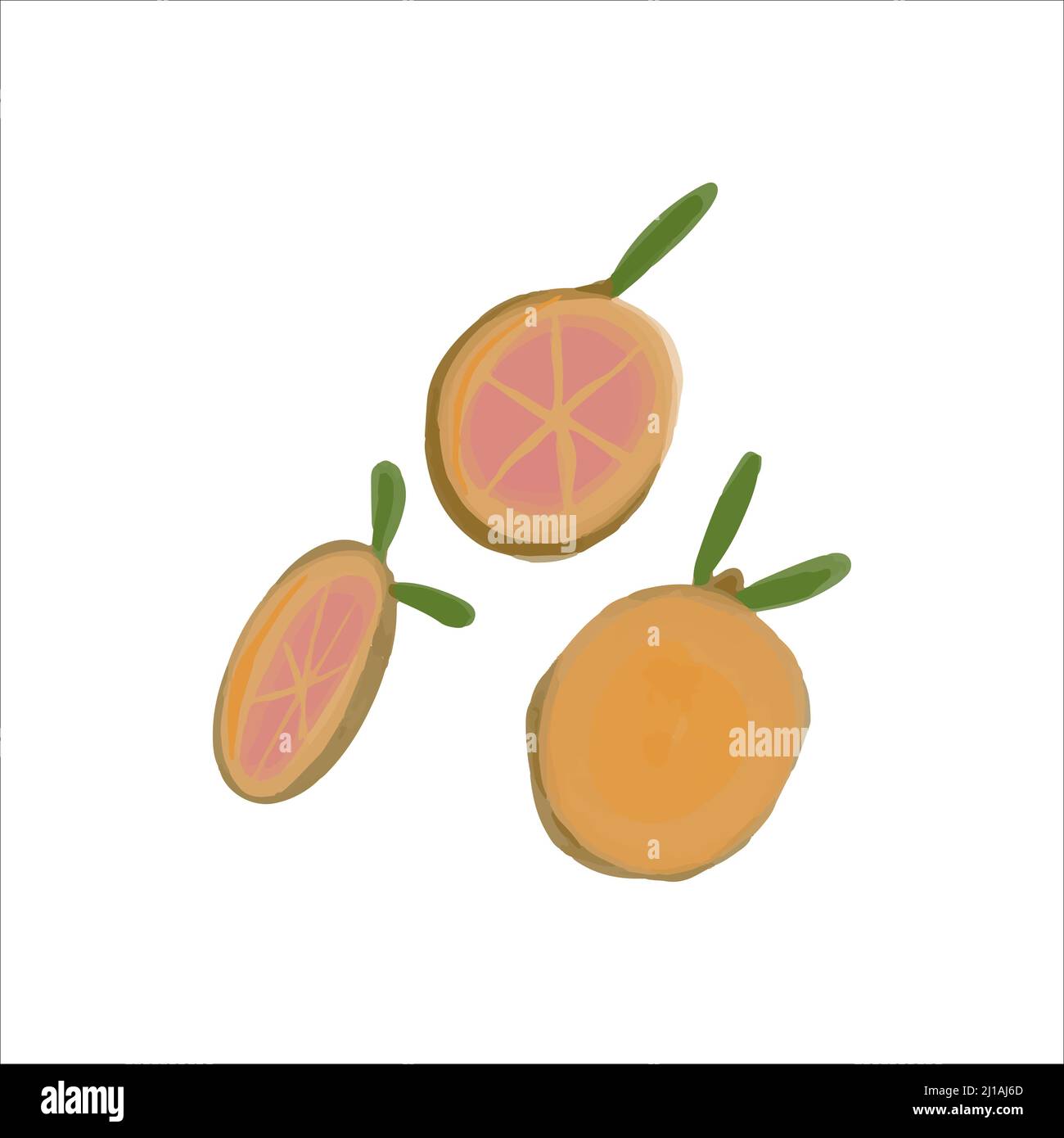 Boho hand painted orange wedges. Vector illustration Stock Vector Image ...