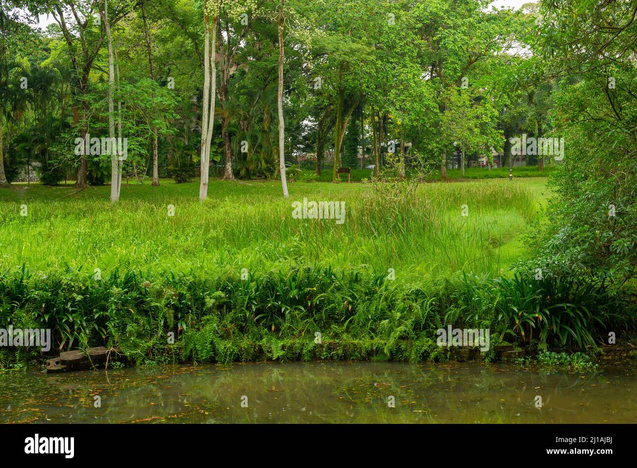 Taman Botani Perdana (Botanical Gardens) Kuala Lumpur Stock Photo - Alamy