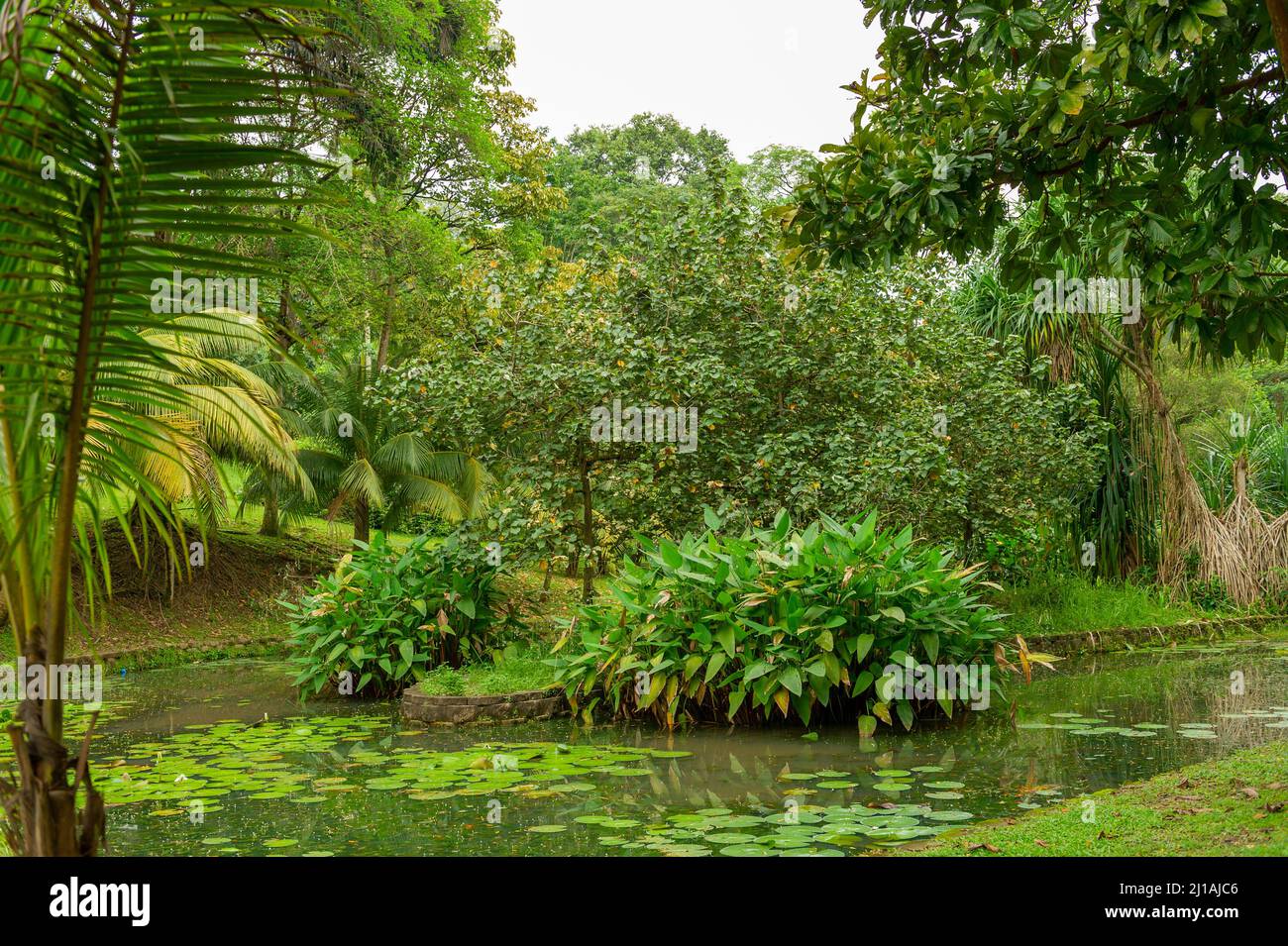 Taman botani perdana hi-res stock photography and images - Alamy