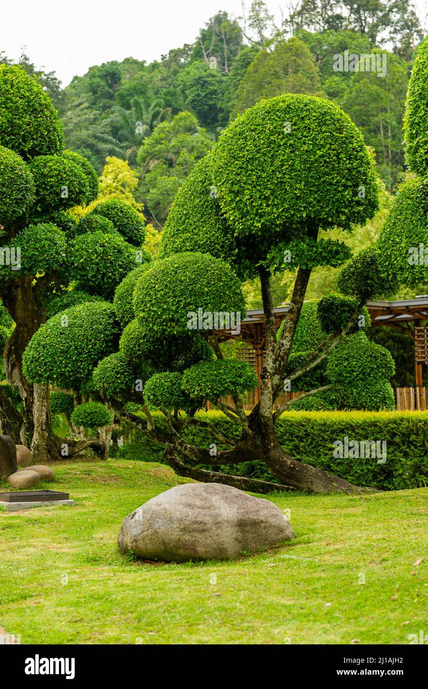 Taman Botani Perdana (Botanical Gardens) Kuala Lumpur Stock Photo - Alamy