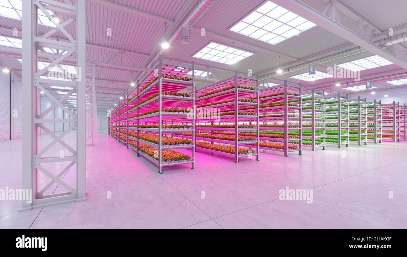 Hydroponic indoor vegetable plant factory in exhibition space warehouse ...