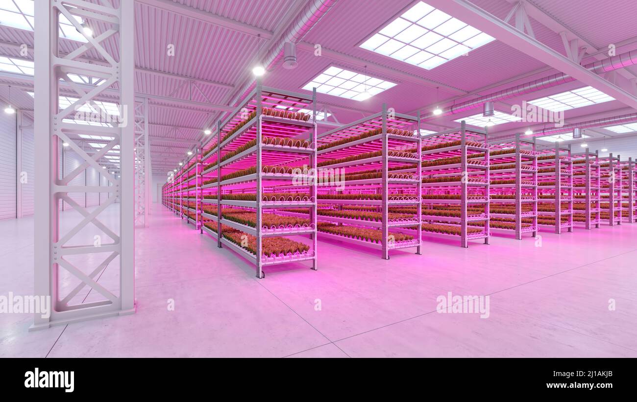 Hydroponic indoor vegetable plant factory in exhibition space warehouse ...