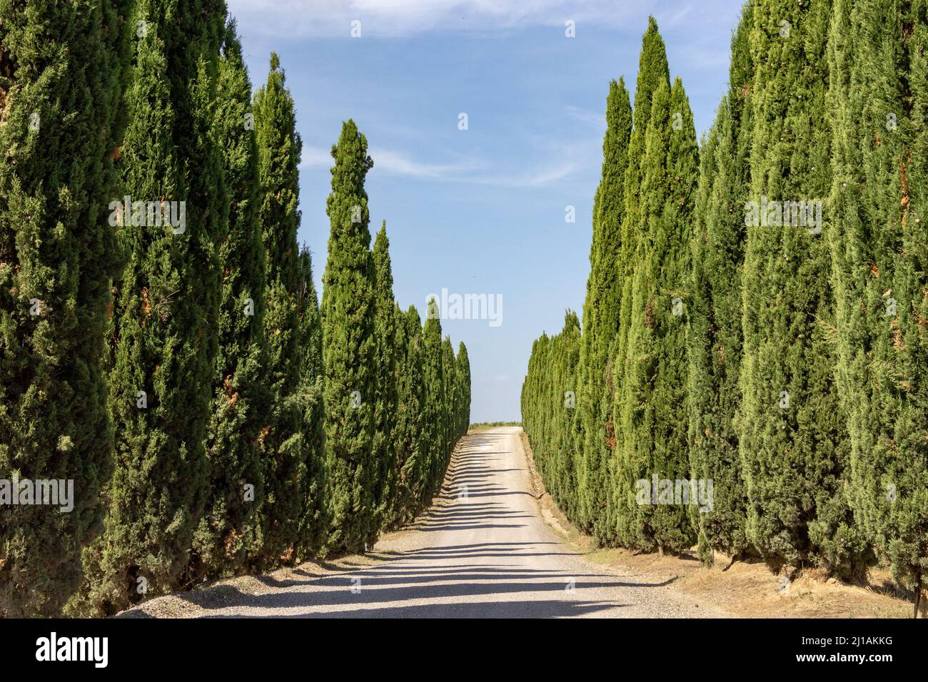 Typical road Tuscany with Cypress trees in Italy Stock Photo - Alamy