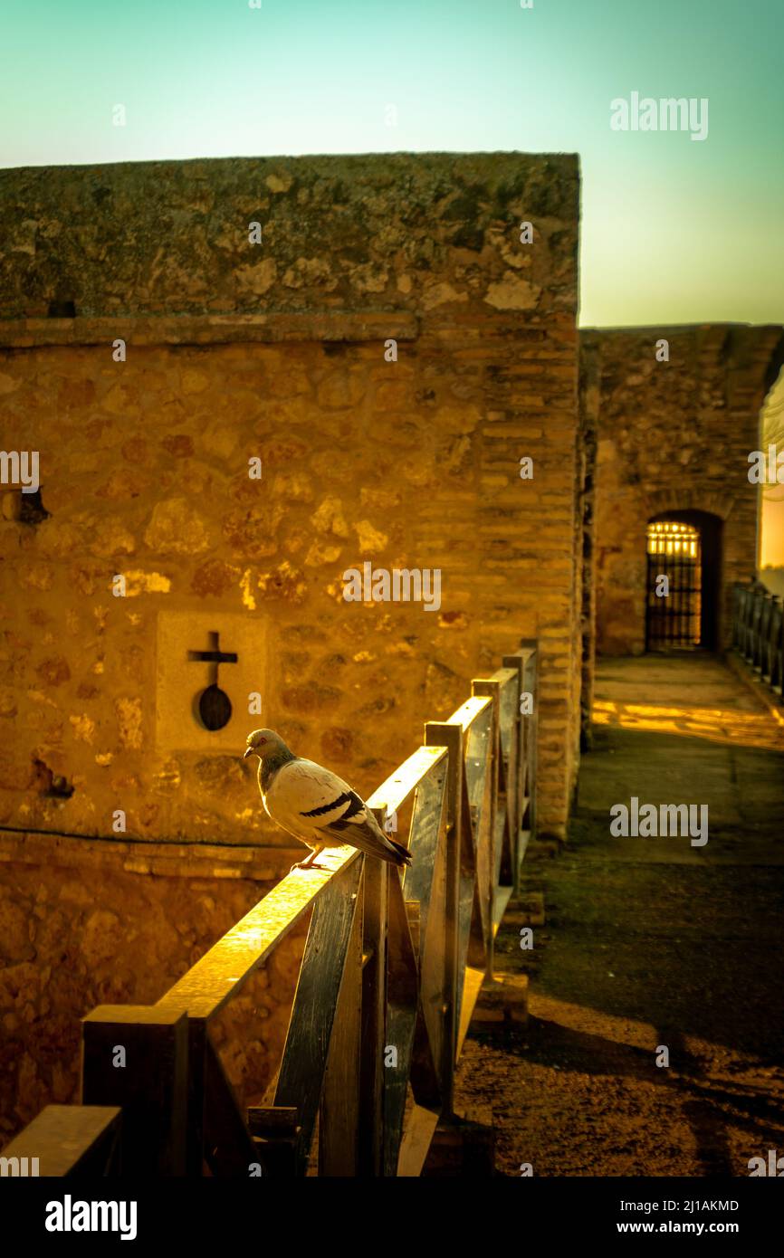 A vertical shot of the Niebla Castle in Spain Stock Photo - Alamy