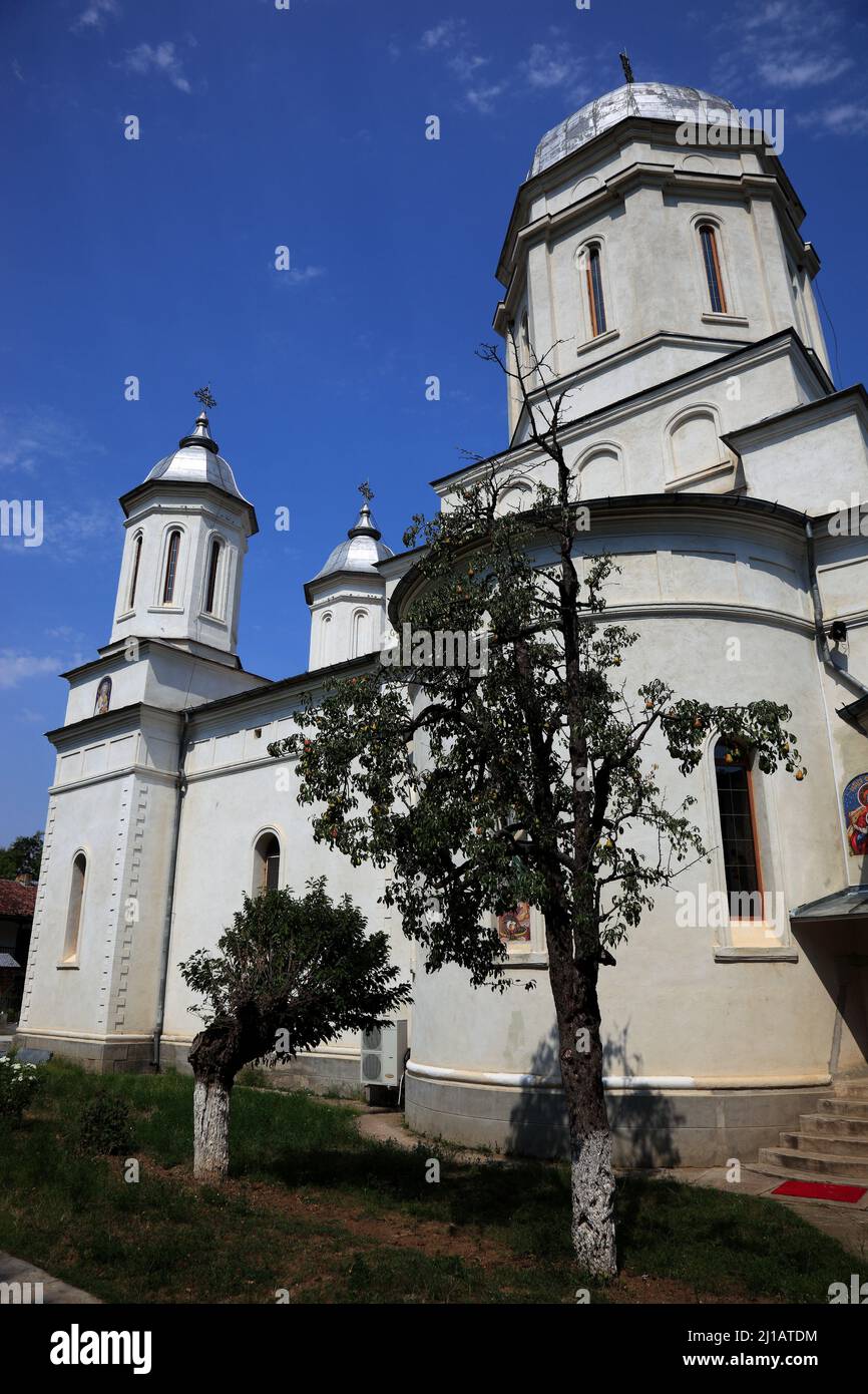 Trans kann hi-res stock photography and images - Alamy