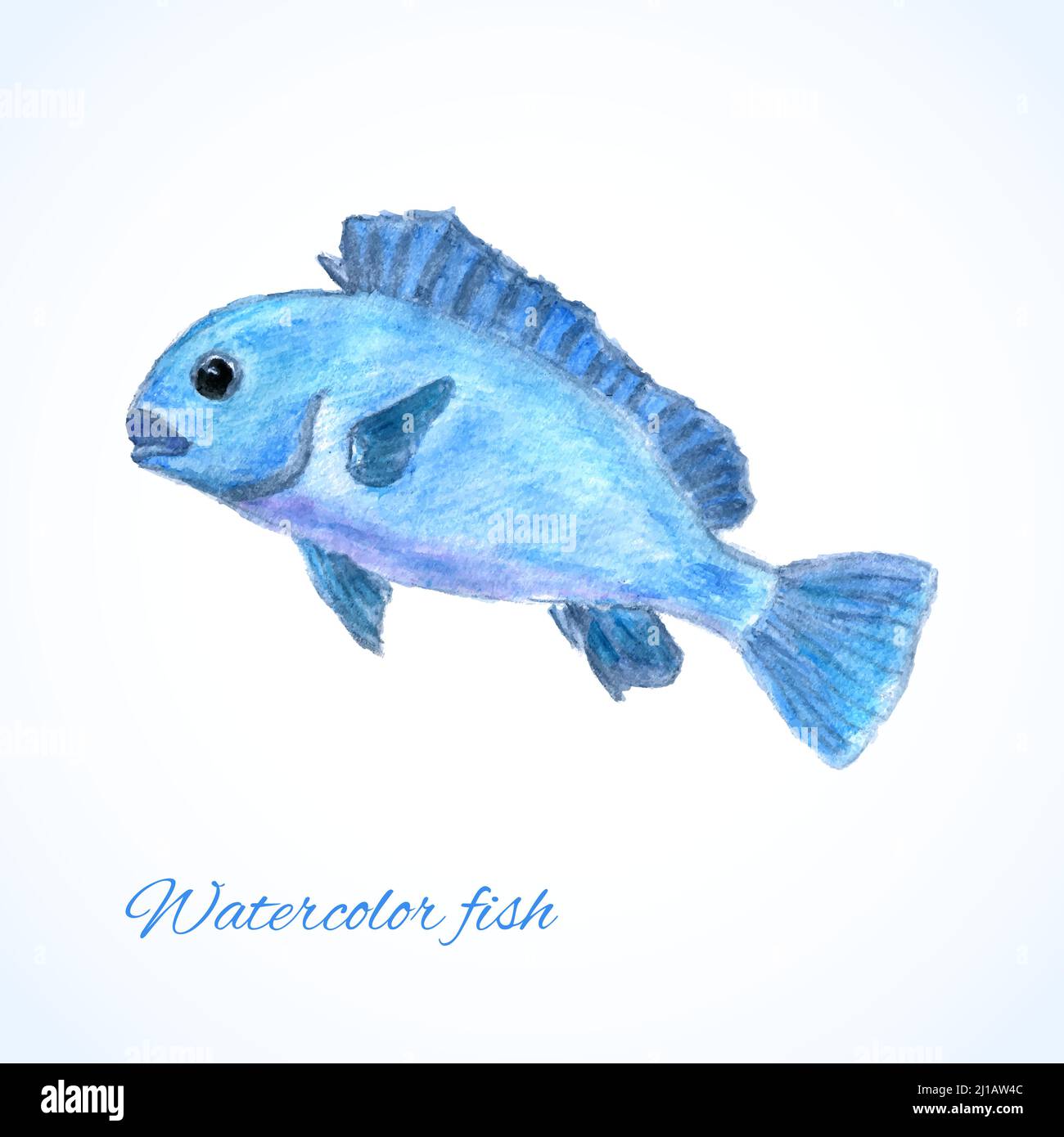 Blue watercolor fish. Vector illustration scalable to any size Stock ...